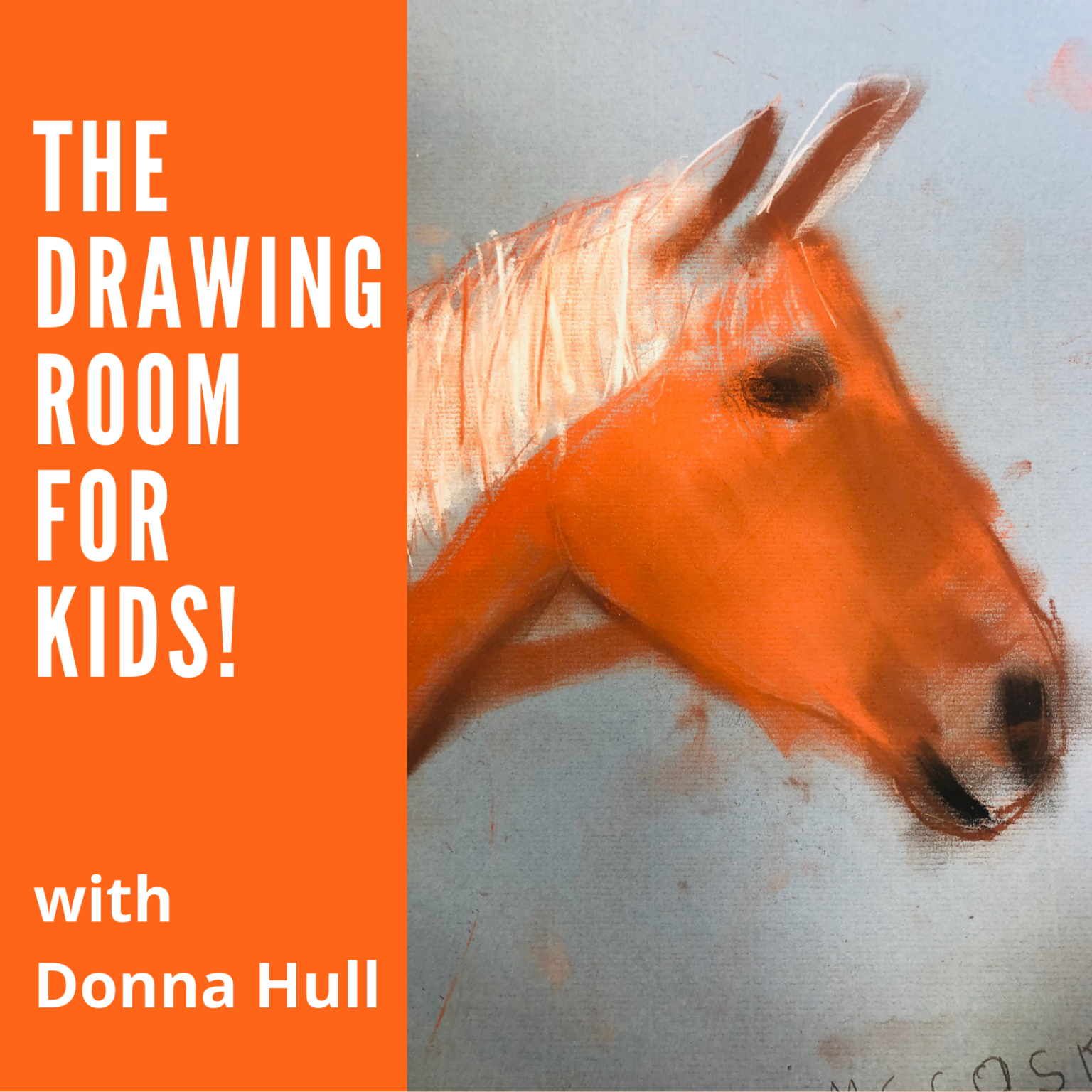 THE DRAWING ROOM! | 4-WEEK SATURDAY SERIES | LIVE ANIMALS with Donna ...